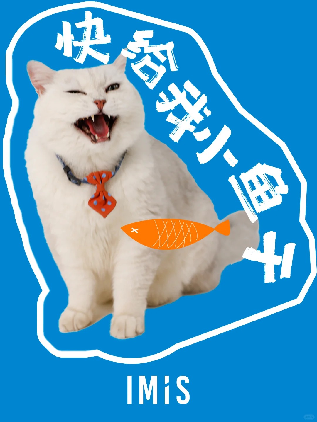 爱美丽IMIS-Aimer爱慕官方商城